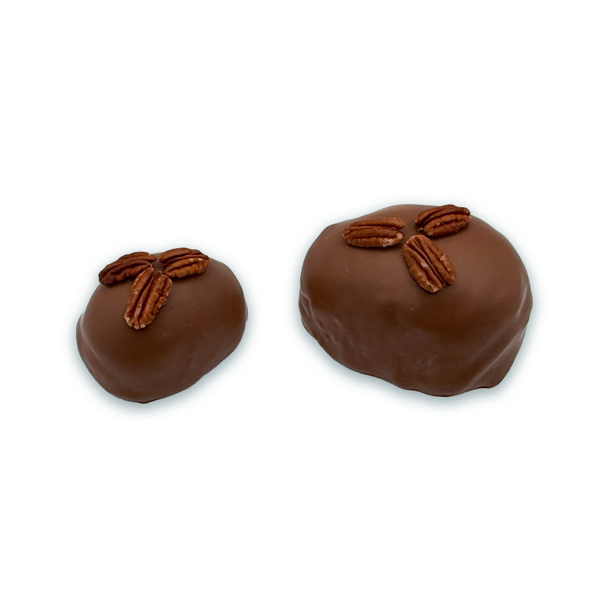 FRENCH CHOCOLATE NUT EGG | Clark Candies, Inc.